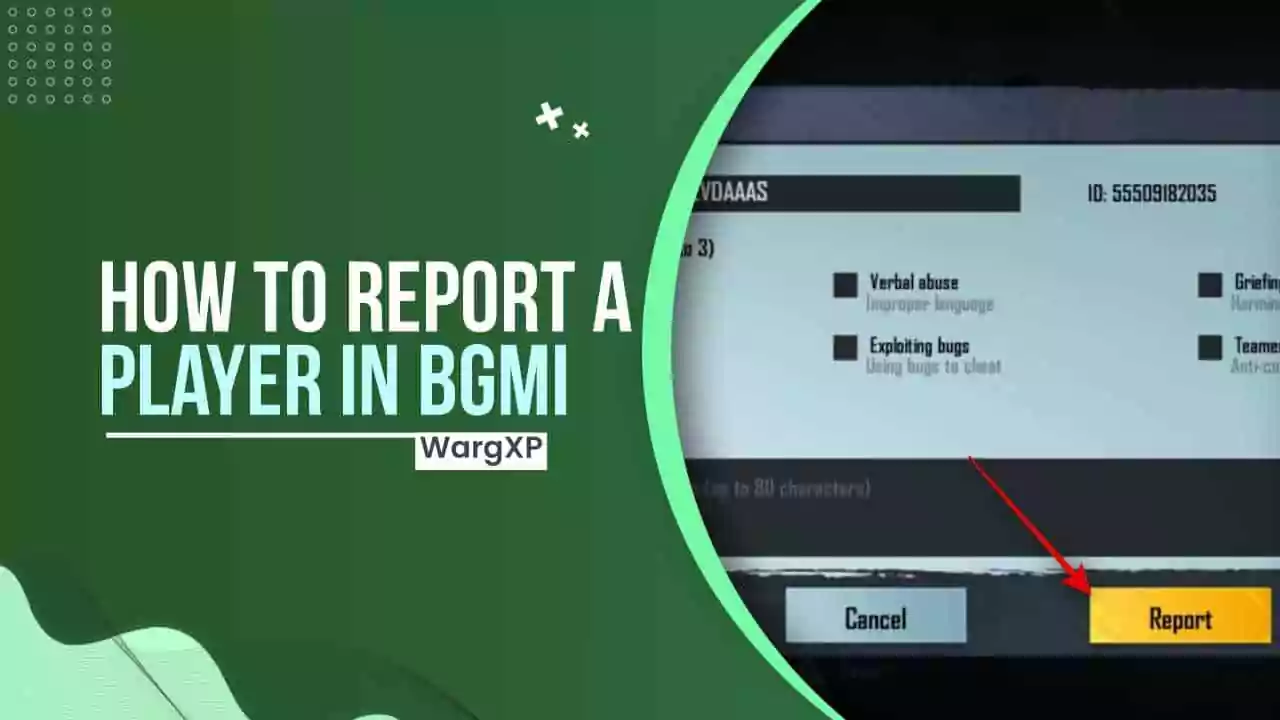 How to Report a Player in BGMI? » WargXP